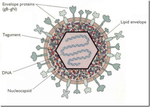 Bells Pares (Perifer facialispares) ~ Medicinanteckningar